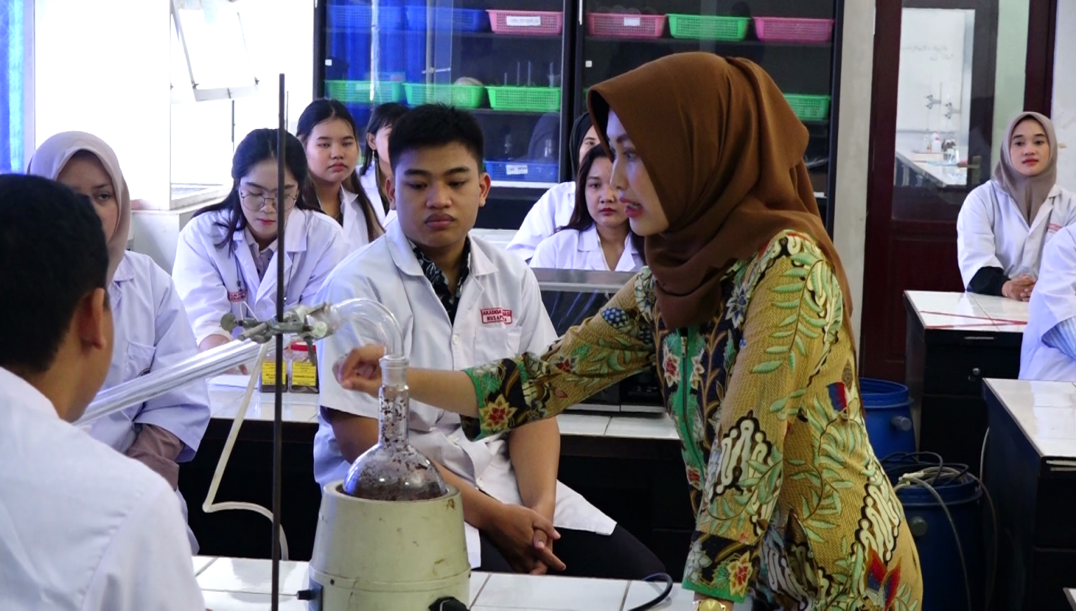 Everything About STIFEERA - STIFERA